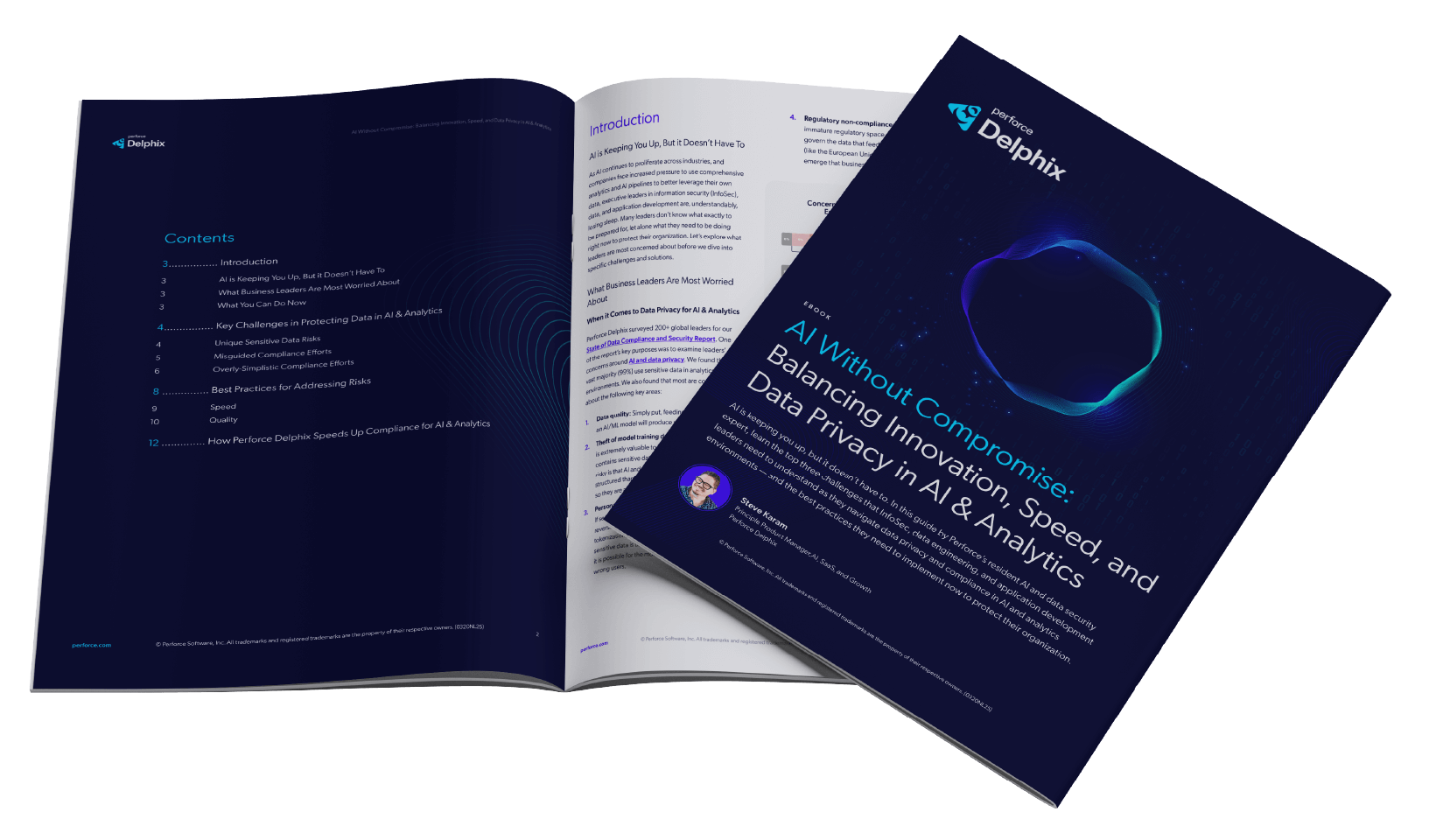 AI Without Compromise: Balancing Innovation, Speed, and Data Privacy in AI & Analytics ...